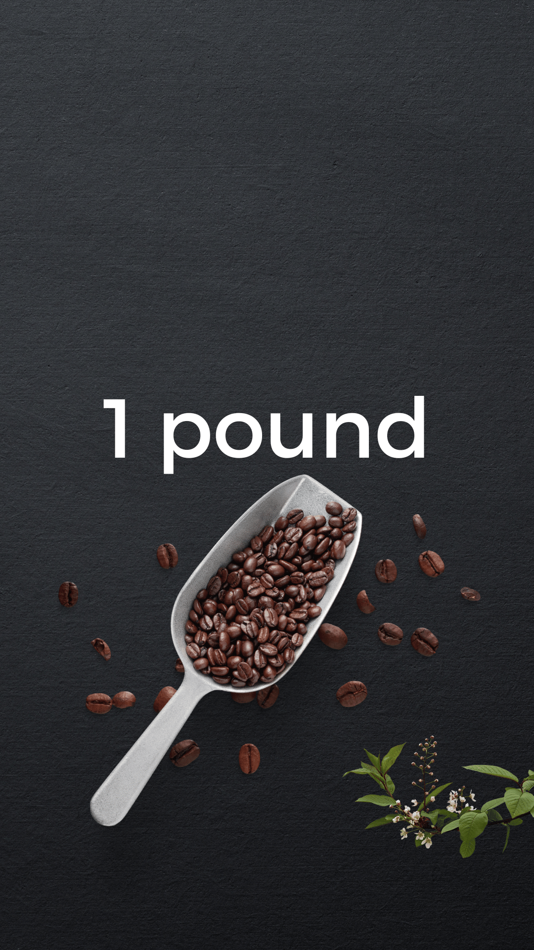 1 lb Whole Bean | Village House Coffee